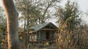 Uma cabana rústica com telhado empena, rodeada por árvores densas e grama seca.