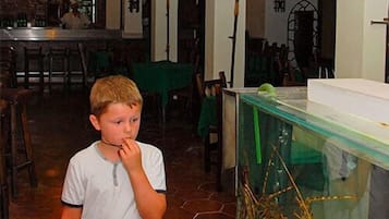 Bar (na propriedade)
