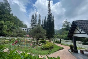 Um jardim com um gazebo, caminhos e árvores altas.