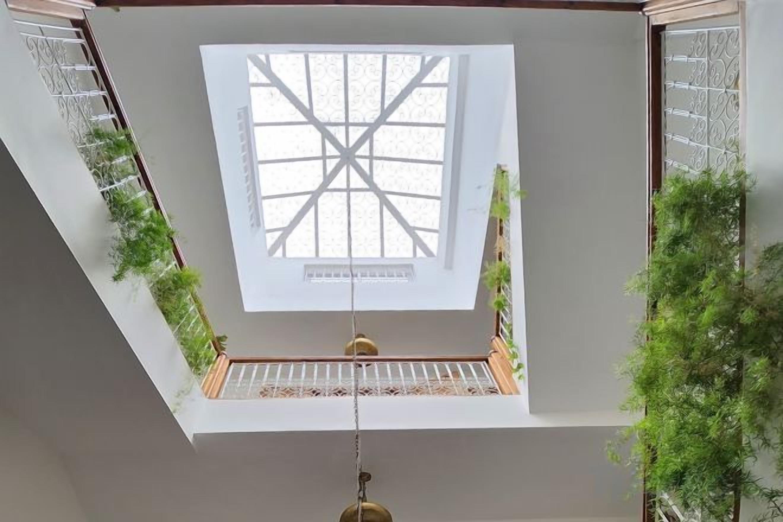 Um claraboia com padrão em cruz, piso de madeira e plantas verdes.