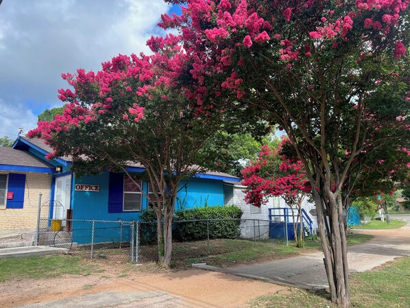 Área da propriedade