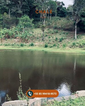 Terraço/pátio interior