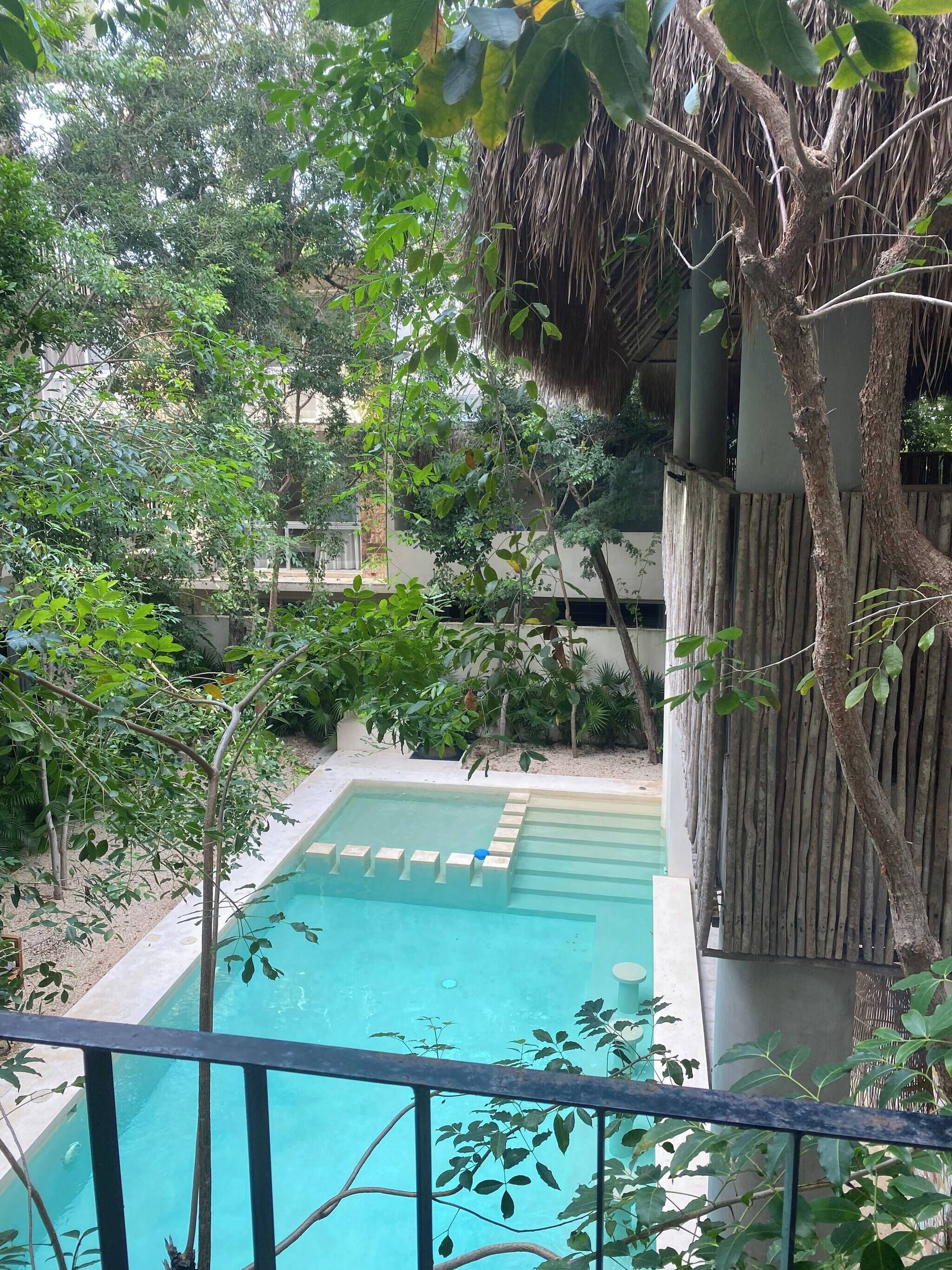 Jardim