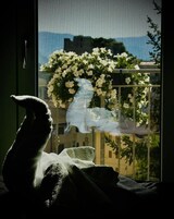 Janela com vista para uma varanda com flores brancas e uma estátua.