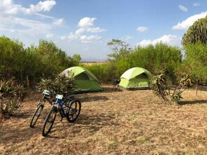 Apartamento | 4 quartos