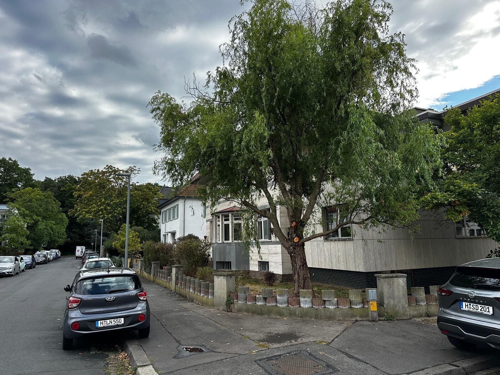 Rua residencial com carros estacionados, uma árvore grande e casas.