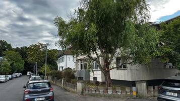 Rua residencial com carros estacionados, uma árvore grande e casas.