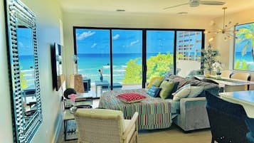 Apartamento, 2 quartos, sacada, vista para o jardim | Área de estar | Livros