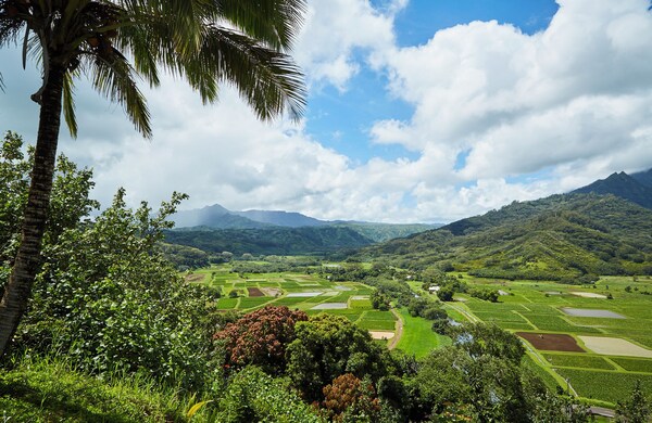 The Cliffs At Princeville By Resortime - Kauai, HI