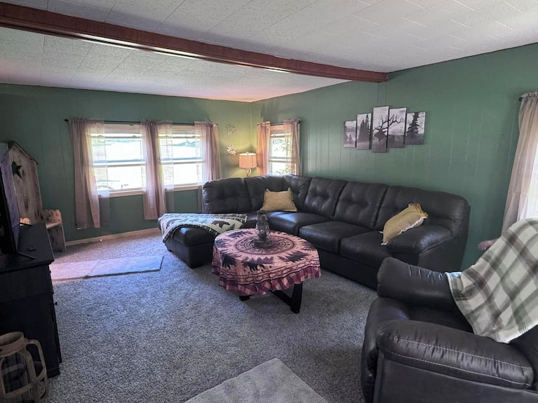 Cozy Lodge With Hot Tub In Pa Wilds - Weedville - Moshannon State Forest, Penfield