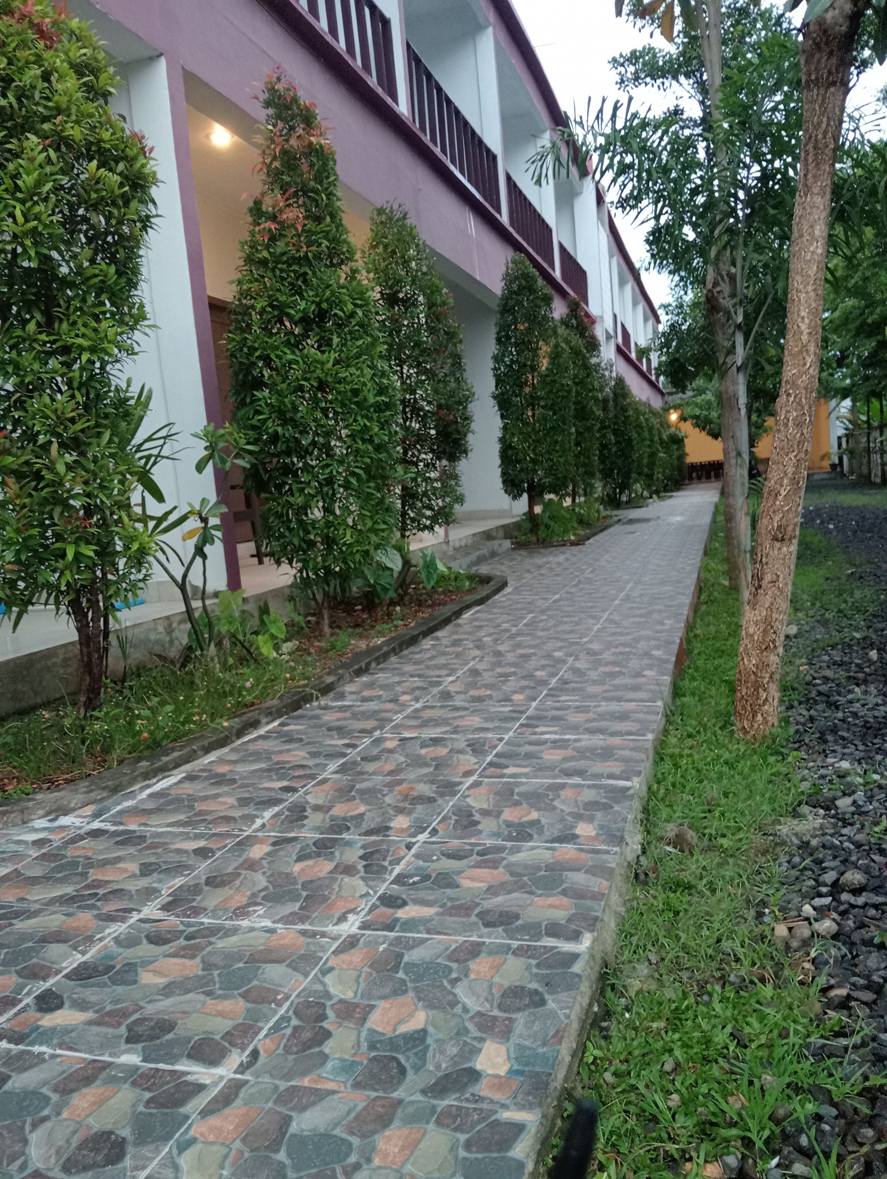 Um caminho bordeado por árvores e um edifício com fachada roxa e branca.