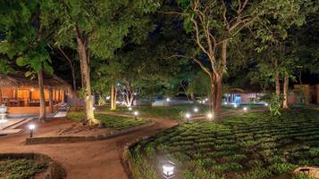 Jardim