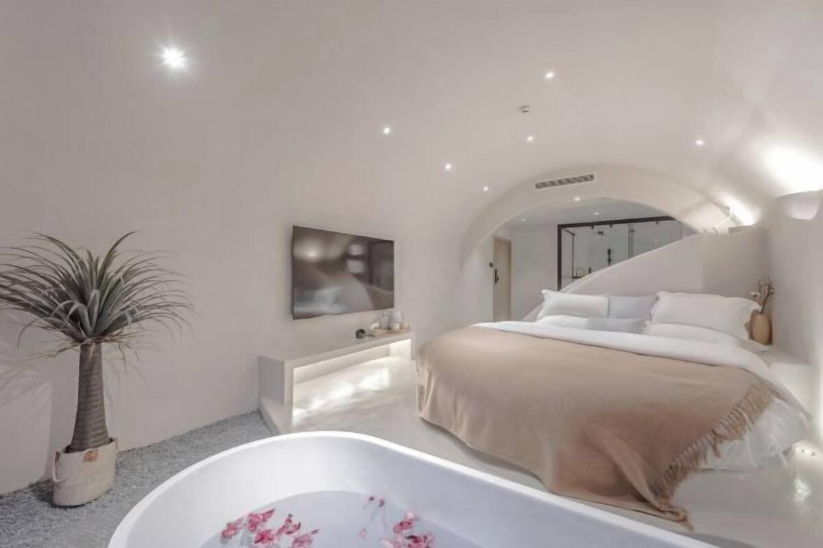 Quarto moderno com uma cama grande, uma banheira e um vaso de planta.