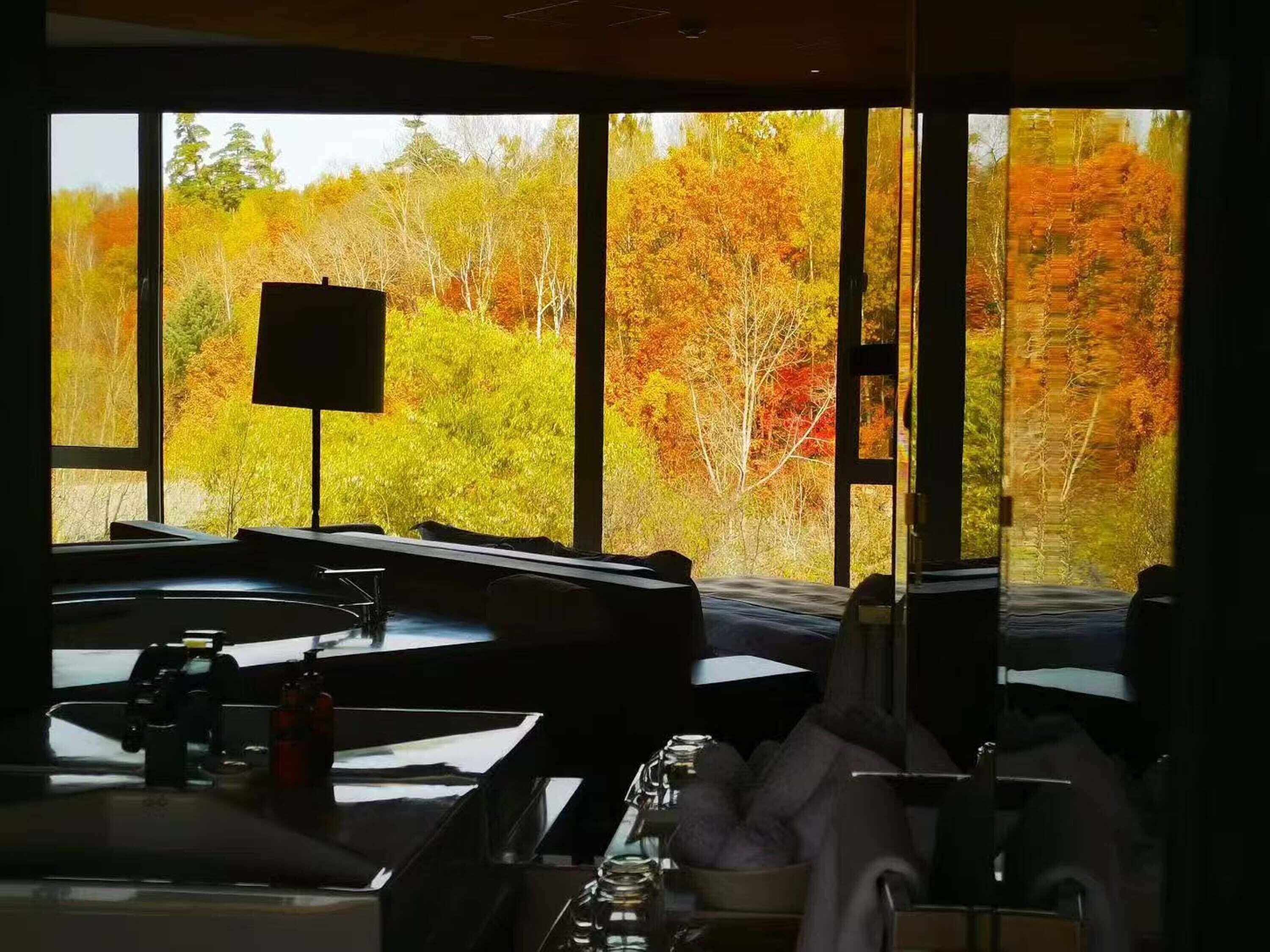 Quarto com uma grande janela com vista para folhagem outonal.