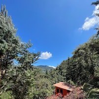 Cabine, 1 quarto, fumadores, varanda | Diversos