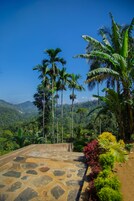 Um caminho pavimentado que leva a um mirante com vista panorâmica, palmeiras e vegetação exuberante.