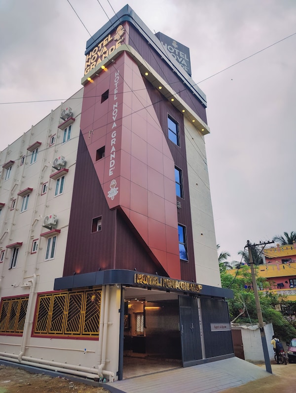Nova Grande' - Hosur