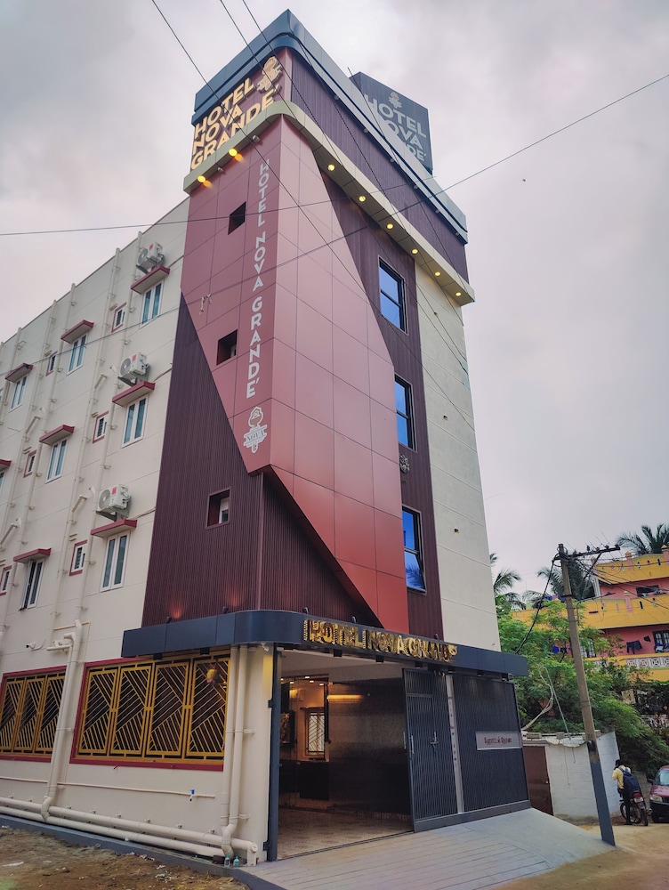 Nova Grande' - Hosur