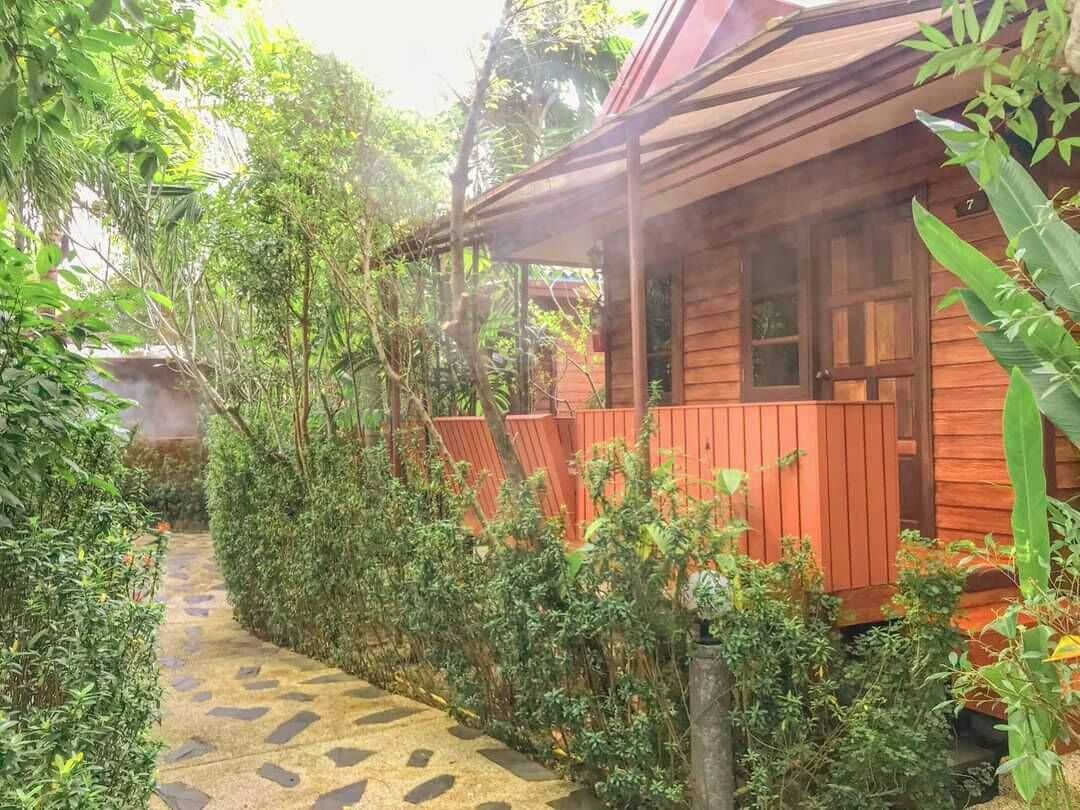 Uma casa de madeira com porta vermelha e um caminho pavimentado, cercada por muita vegetação.