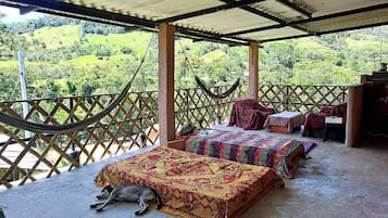 Área da propriedade