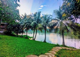 Vista tranquila de um lago, com palmeiras e uma área gramada.
