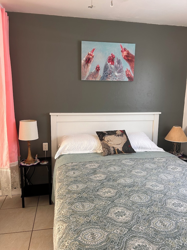 The Funky Chicken studio is unique. Pet friendly. Key West atmosphere ...