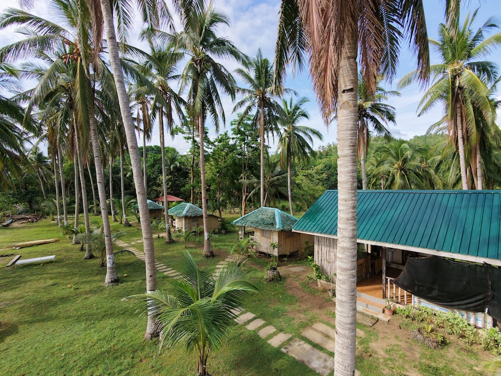 Tay Deling's - エル・ニド