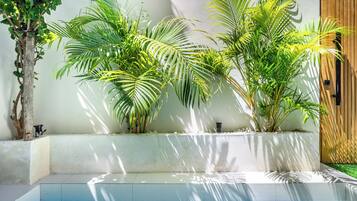 Piscina externa