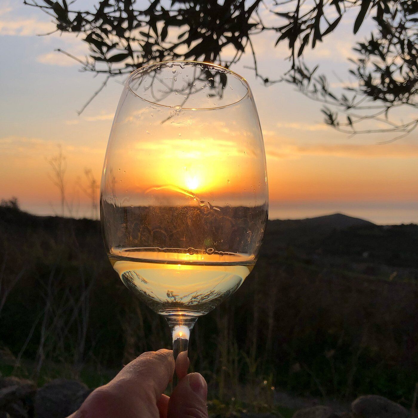 Mão segurando uma taça de vinho com o pôr do sol ao fundo.