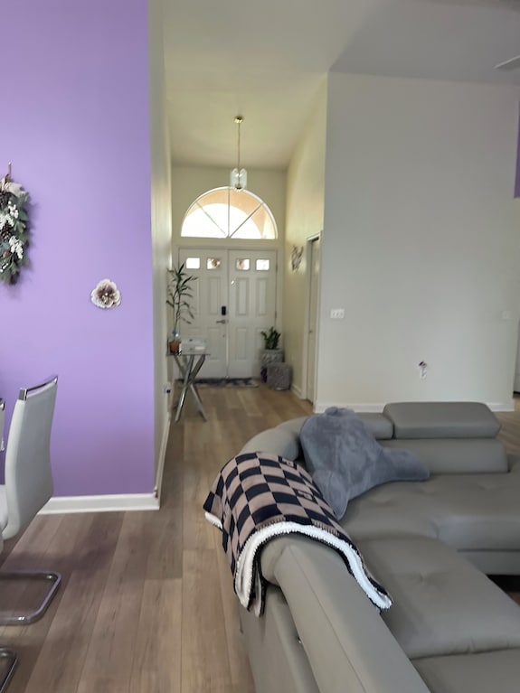 A Modern Cozy Home Decorated With Love - Land O' Lakes, FL