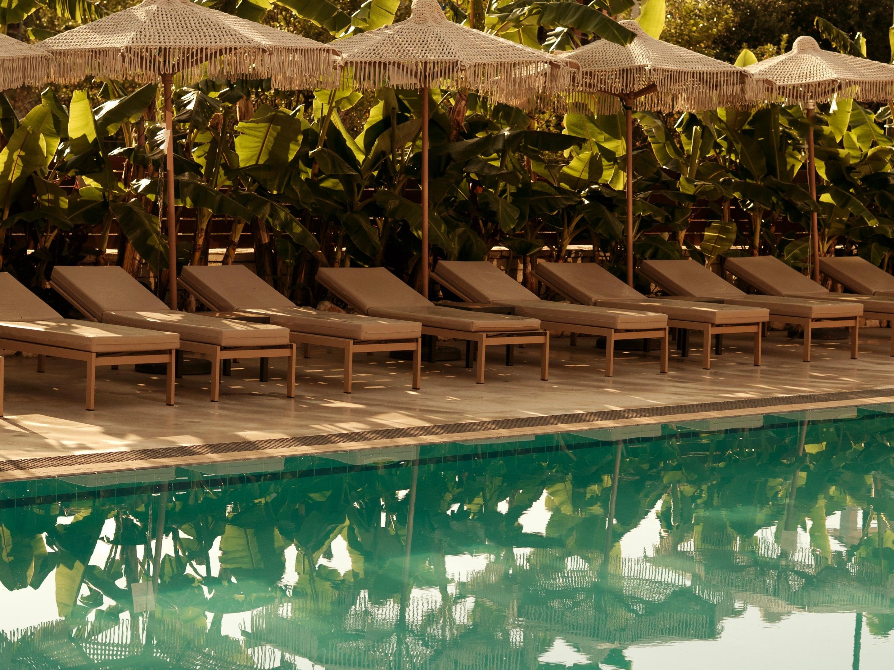 Uma área na piscina com espreguiçadeiras e guarda-sóis.