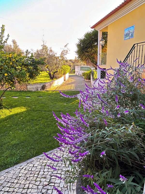 Quinta Do Ribeirinho - Belver