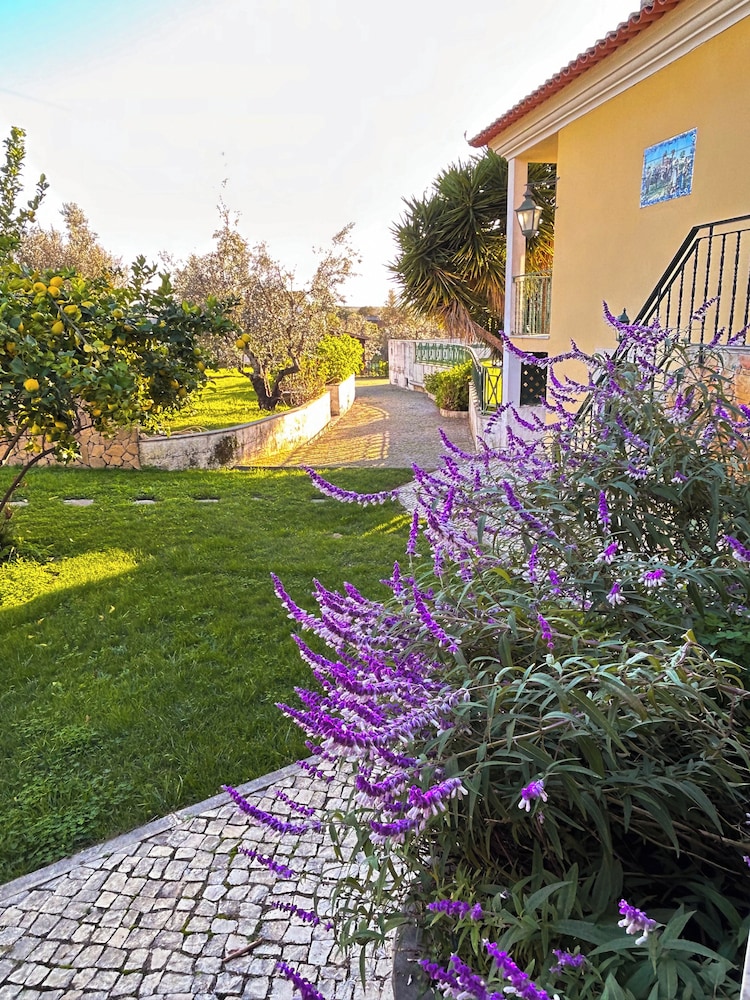 Quinta Do Ribeirinho - Belver