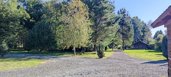 Entre Hualles Y Pellines - Los Ríos