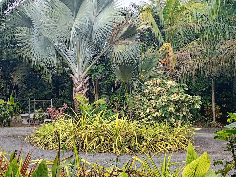 Quarto luxo, vista para o jardim | Vista para o jardim