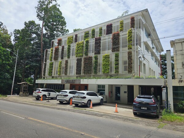 Vine And Canopy - Morong