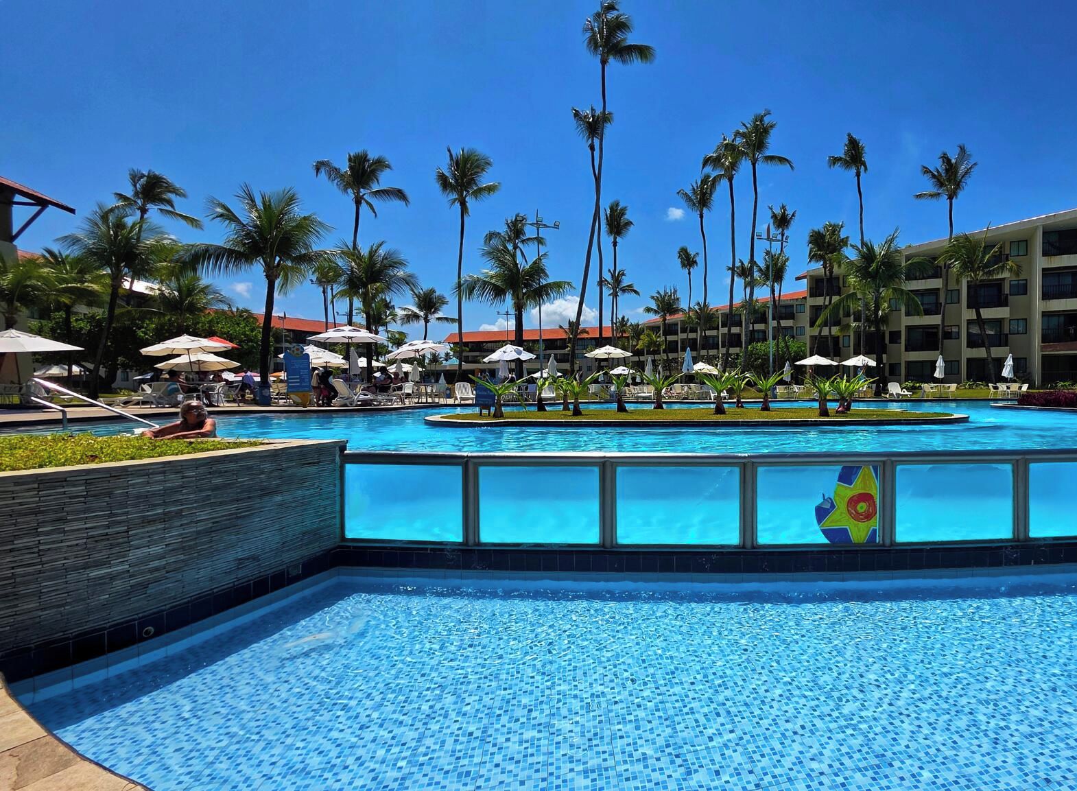 Piscina cercada por palmeiras, espreguiçadeiras e guarda-sóis.
