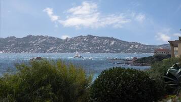 Apartamento | 1 quarto