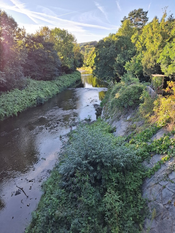 Adelin Vienna - Viena