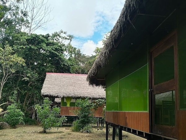 Amazon Jungle Expeditions Lodge - Amazonas (estado)