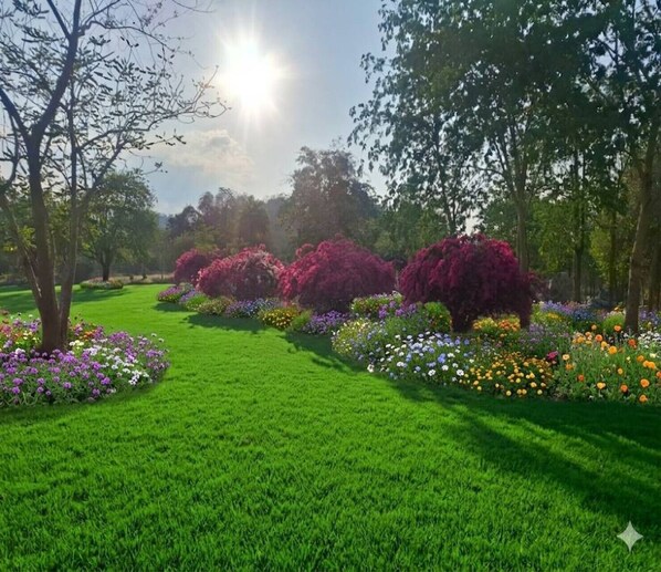 Vista para o jardim