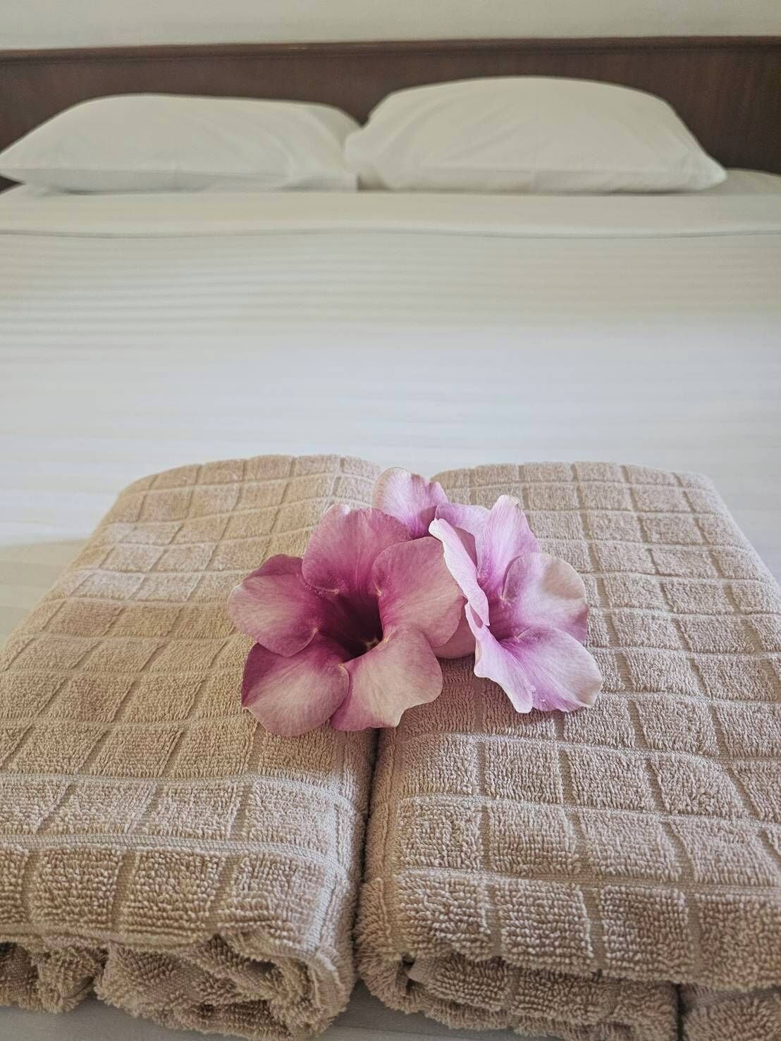 Quarto Duplo Standard