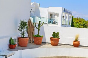 Apartamento, 1 quarto, fumadores, terraço | Varanda