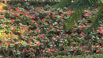 Estúdio Deluxe, varanda, Vista para a cidade | Vista do quarto