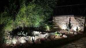Jardim noturno com diversos cactos e suculentas, iluminado por refletores.