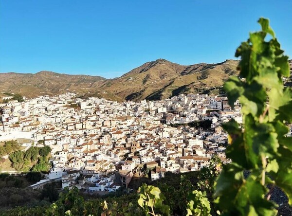 La Lipa Suites - Andalousie