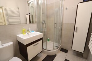 Um secador de cabelo, toalhas fornecidas, sabão, papel higiénico 