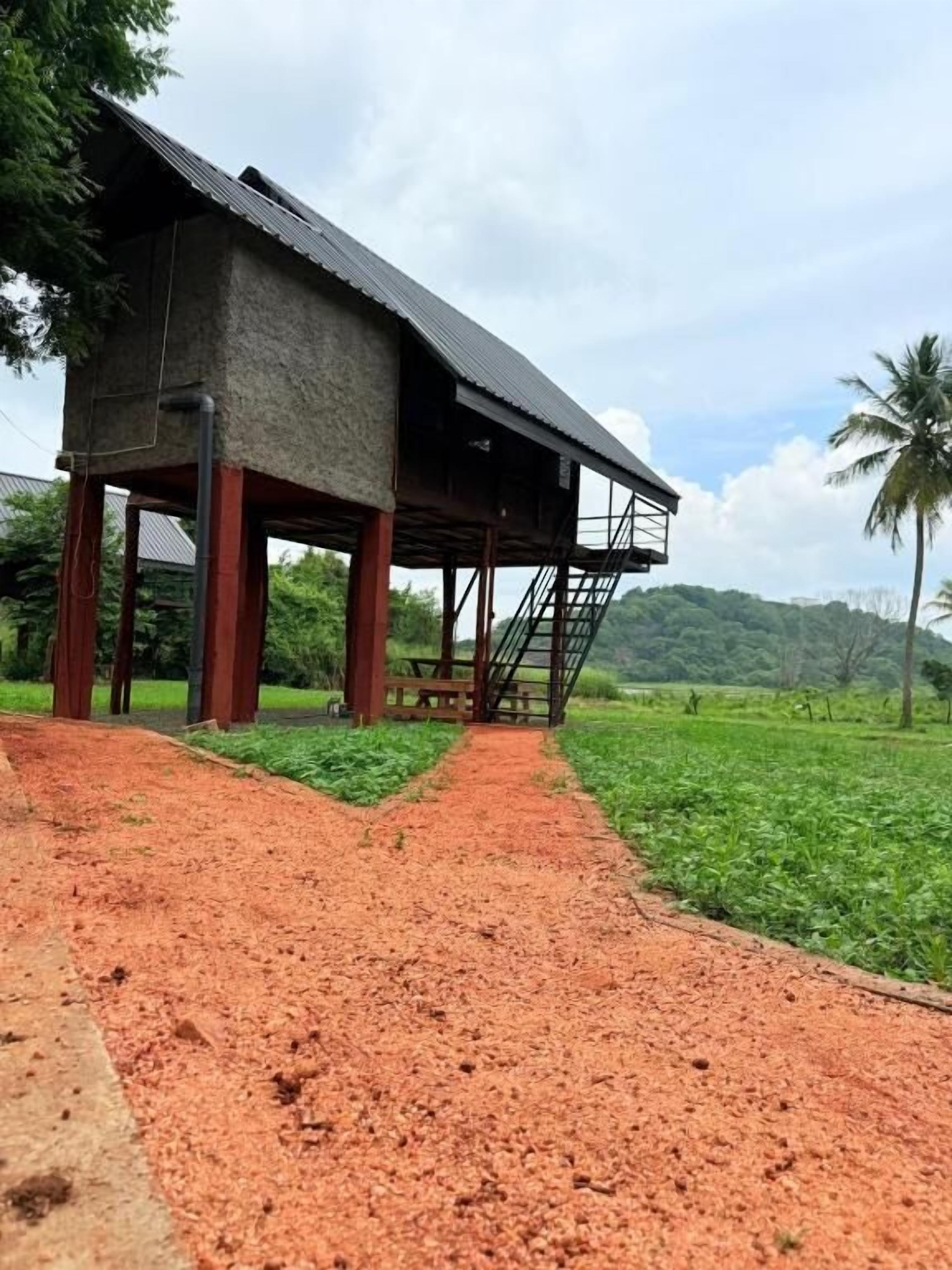 Um edifício rústico com telhado de metal e vigas de madeira, localizado numa estrada de terra com um campo verde e palmeiras ao fundo.