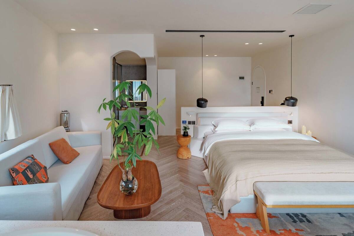 Um quarto moderno com sofá, cama, mesa de centro e uma planta grande.