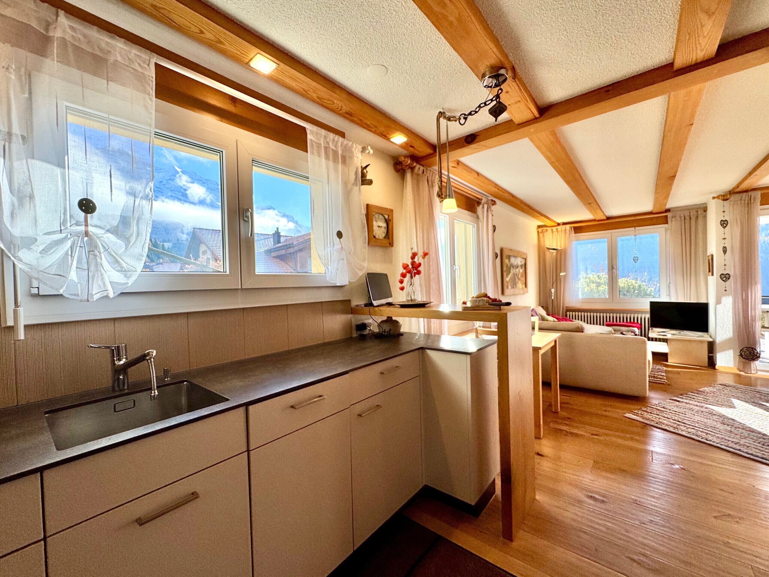 Chalet Gerbera 1 - Lauterbrunnen